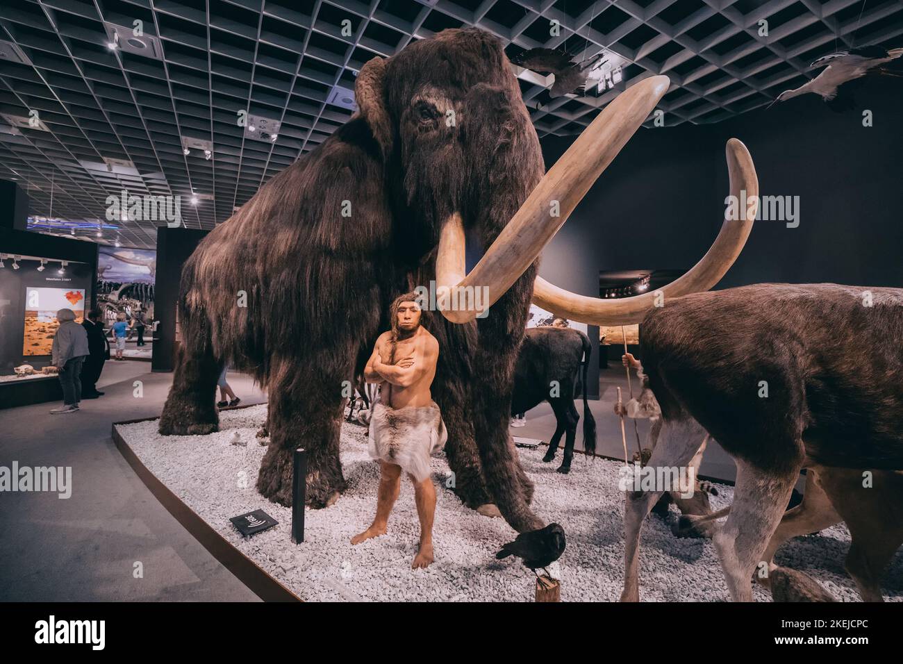 Neanderthal man hunt mammoth hi-res stock photography and images - Alamy