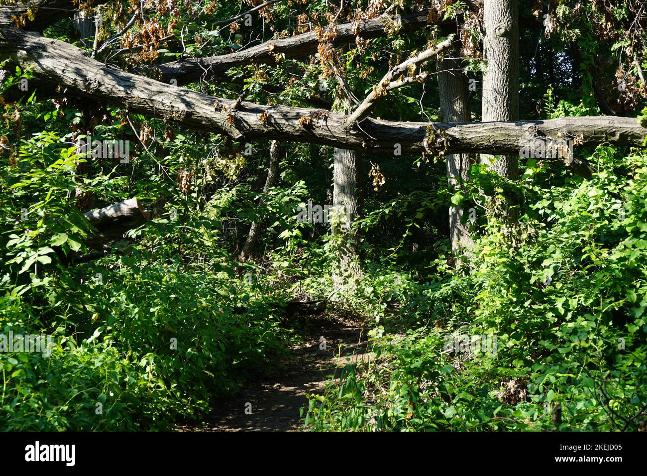 Van Cortlandt Park is a 1,146-acre park located in the borough of the ...