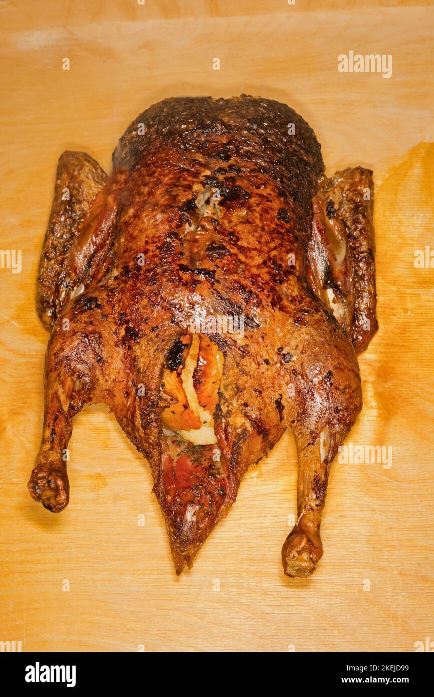 Poultry farming germany hi-res stock photography and images - Alamy