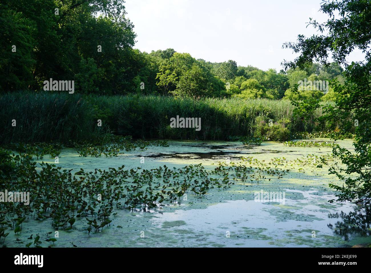 Van Cortlandt Park is a 1,146-acre park located in the borough of the ...
