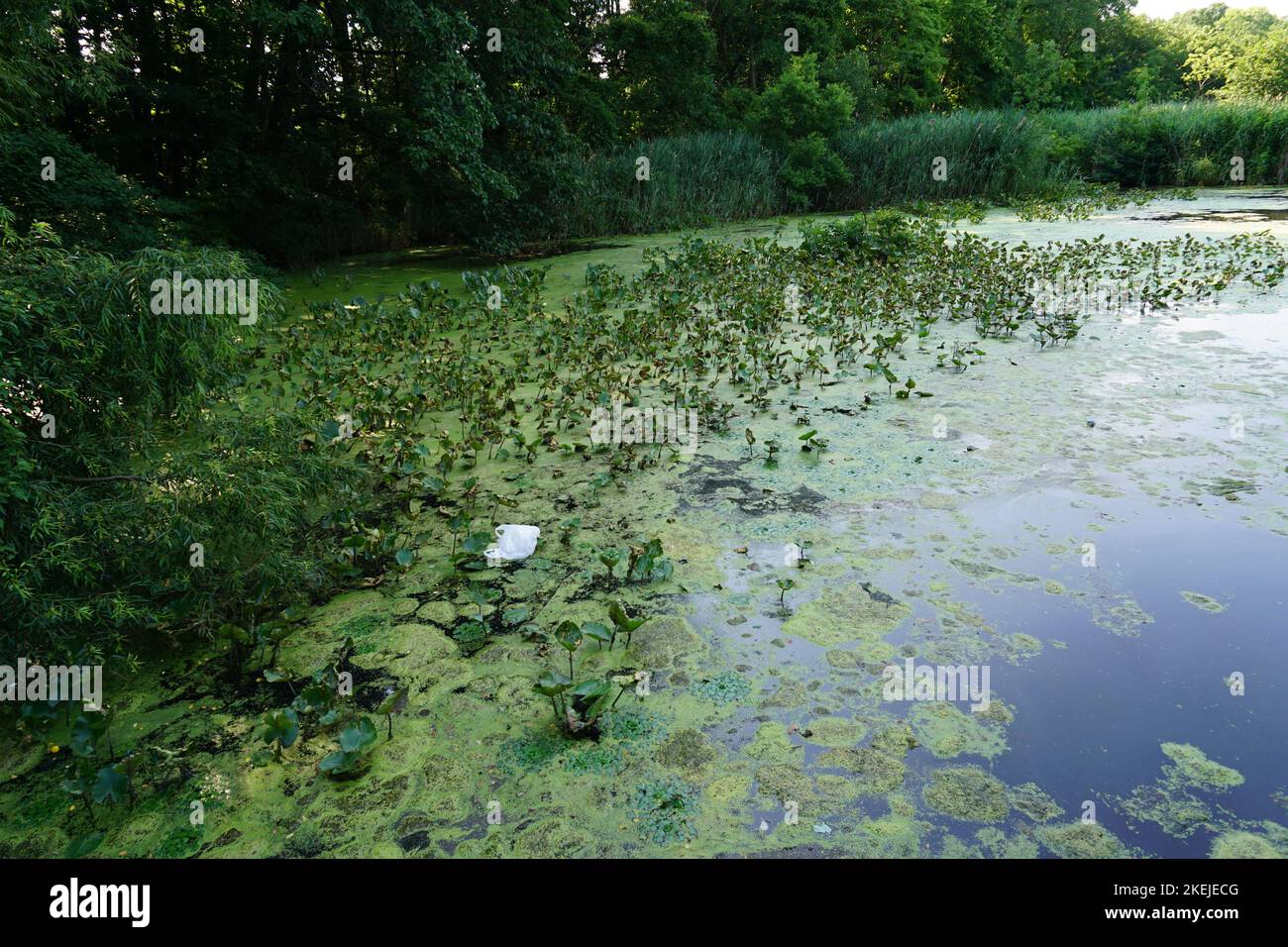 Van Cortlandt Park is a 1,146-acre park located in the borough of the ...