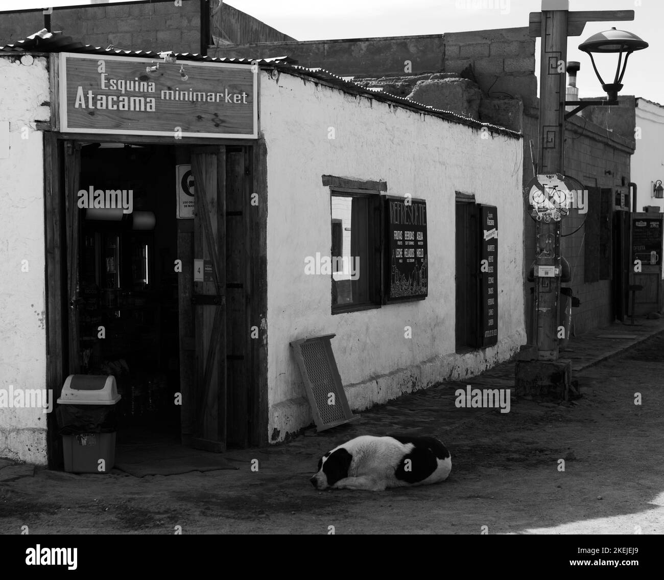 A grayscale of a dog lying in front of a corner store with a "Corner ...