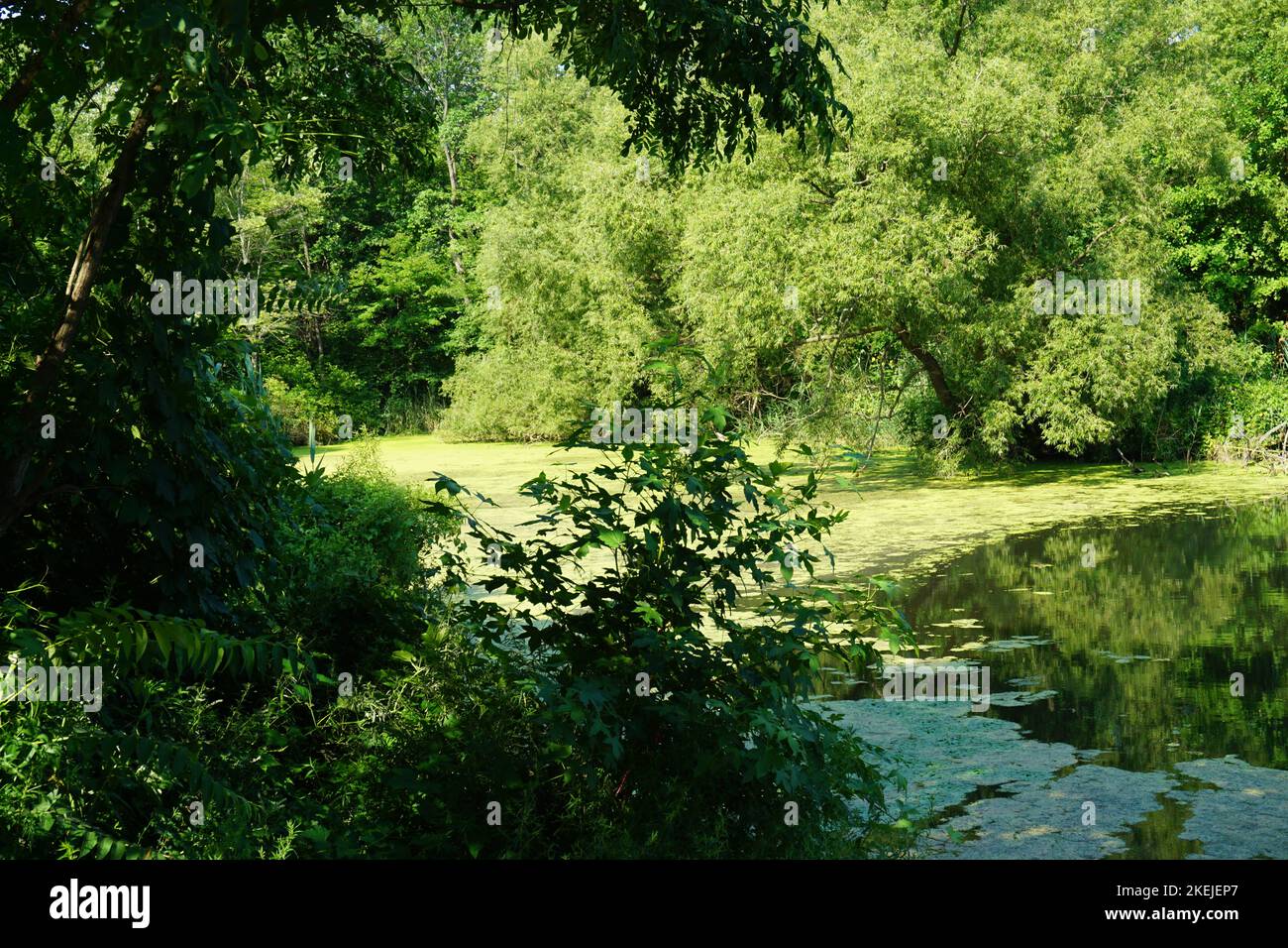 Van Cortlandt Park is a 1,146-acre park located in the borough of the ...