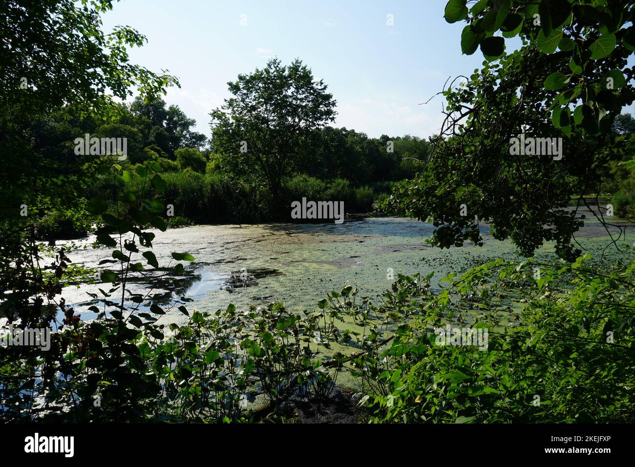 Van Cortlandt Park is a 1,146-acre park located in the borough of the ...