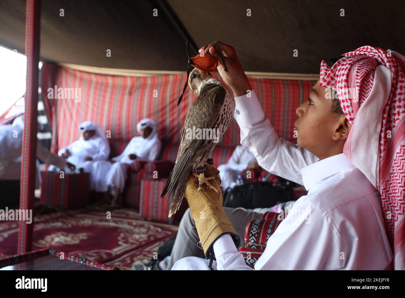 Al-Gannas Society will organize the Sixth Qatar International Falcons ...