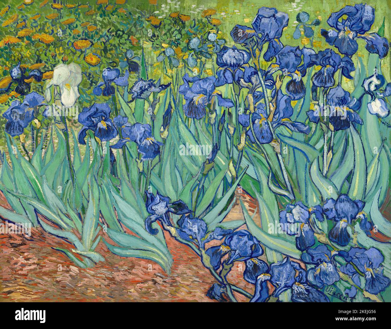 Starry night painted by vincent van gogh hi-res stock photography and ...