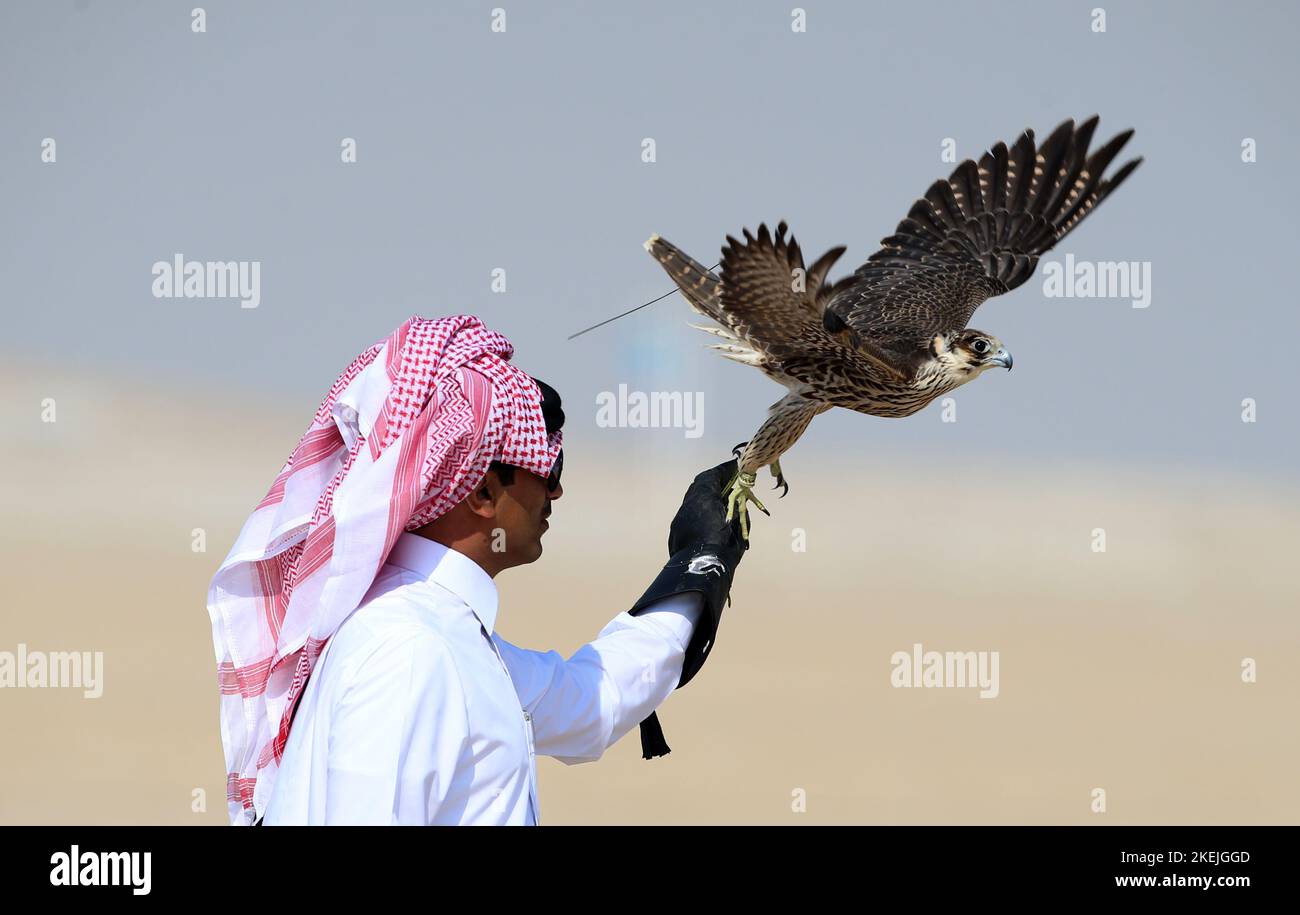 Al-Gannas Society will organize the Sixth Qatar International Falcons ...