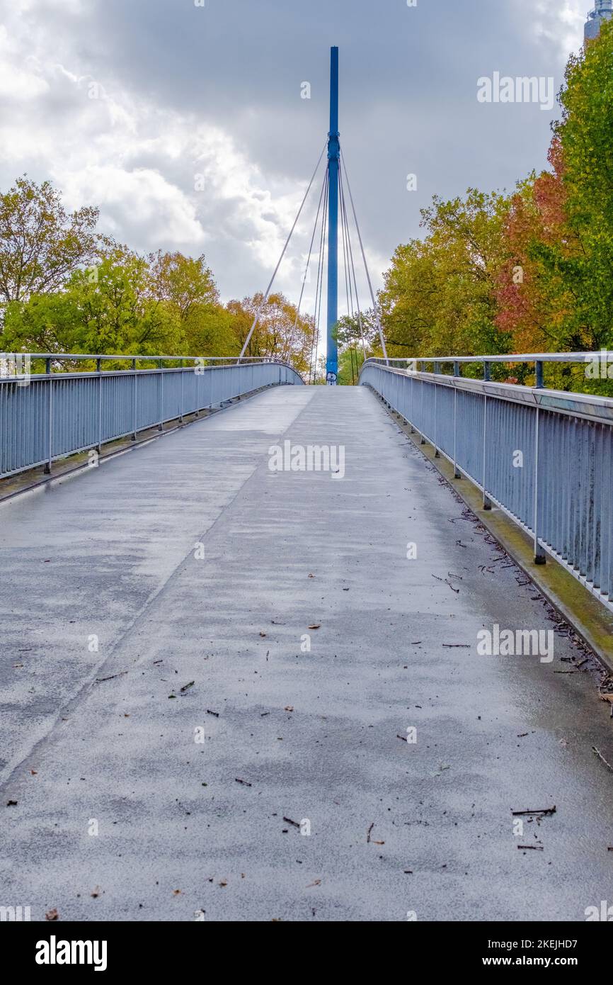 autumn season warm sunlight with colorful trees and leaves in park ...