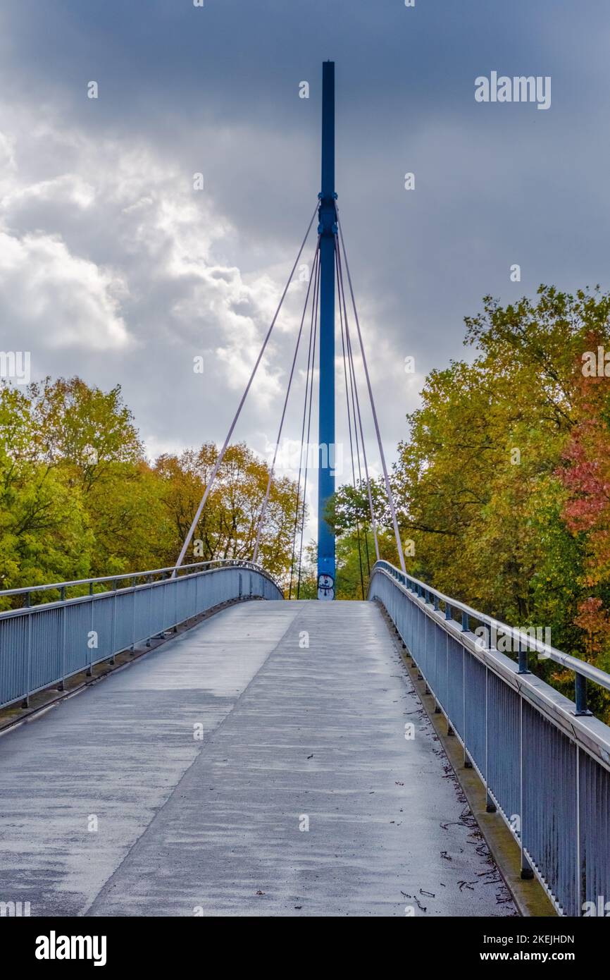 autumn season warm sunlight with colorful trees and leaves in park ...