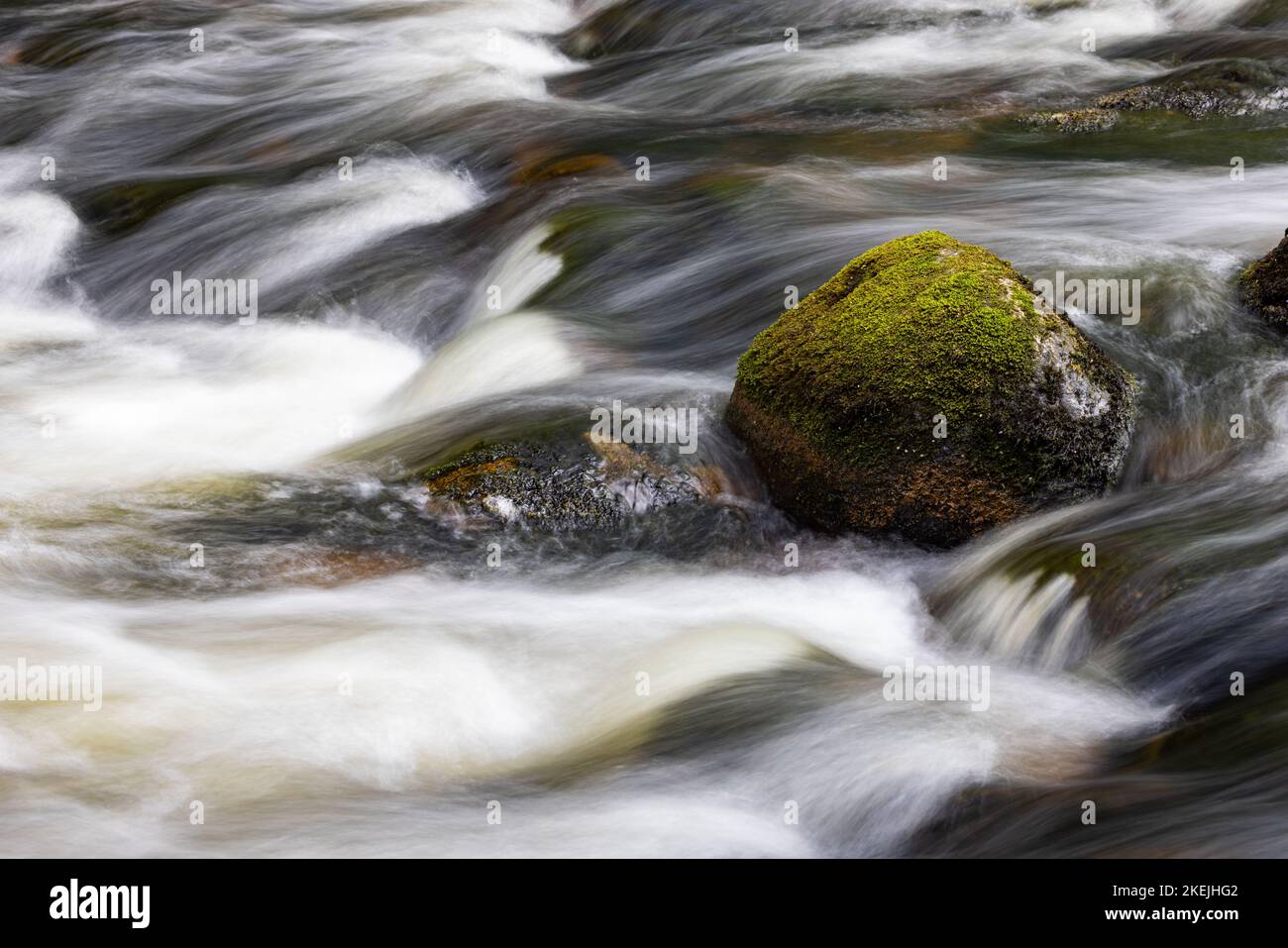 Moss covered boulder in fast flowing stream, Dartmoor, Devon, UK Stock ...