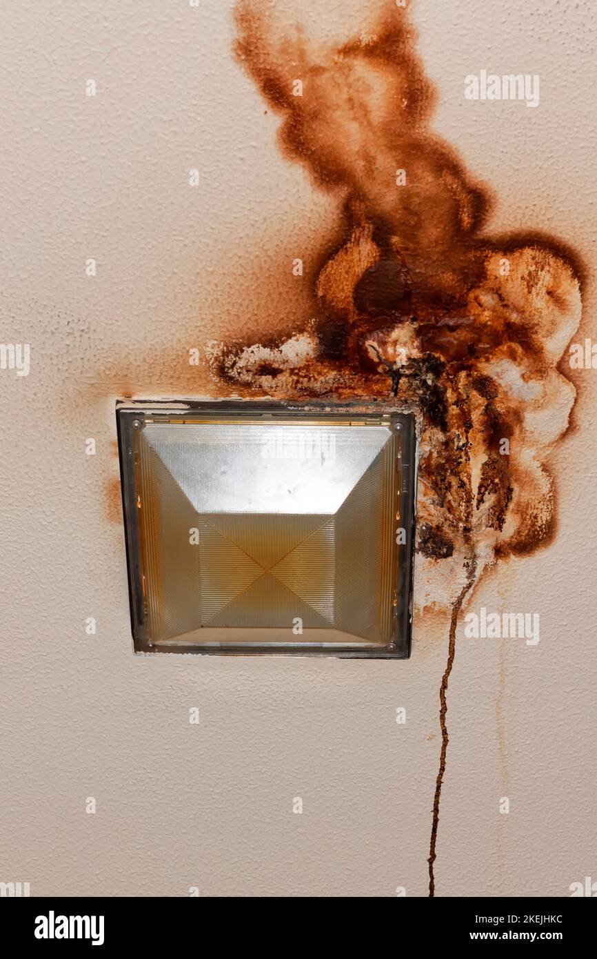 Brown mold on the ceiling Stock Photo - Alamy