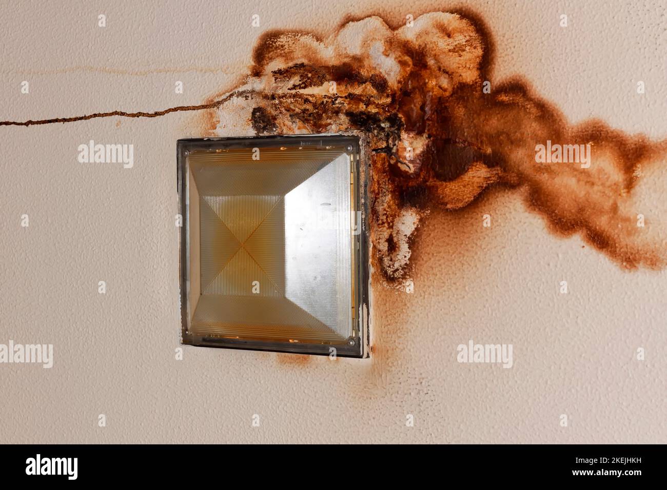 Brown mold on the ceiling Stock Photo - Alamy