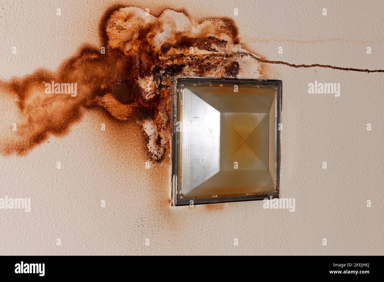 Brown mold on the ceiling Stock Photo - Alamy