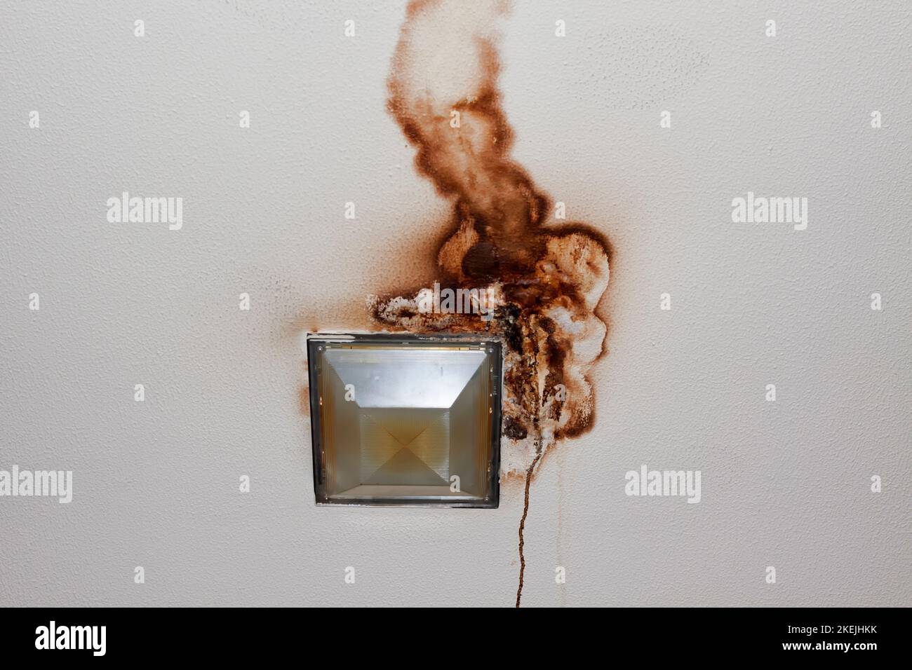 Brown mold on the ceiling Stock Photo - Alamy