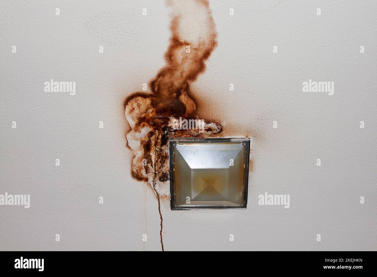 Brown mold on the ceiling Stock Photo - Alamy