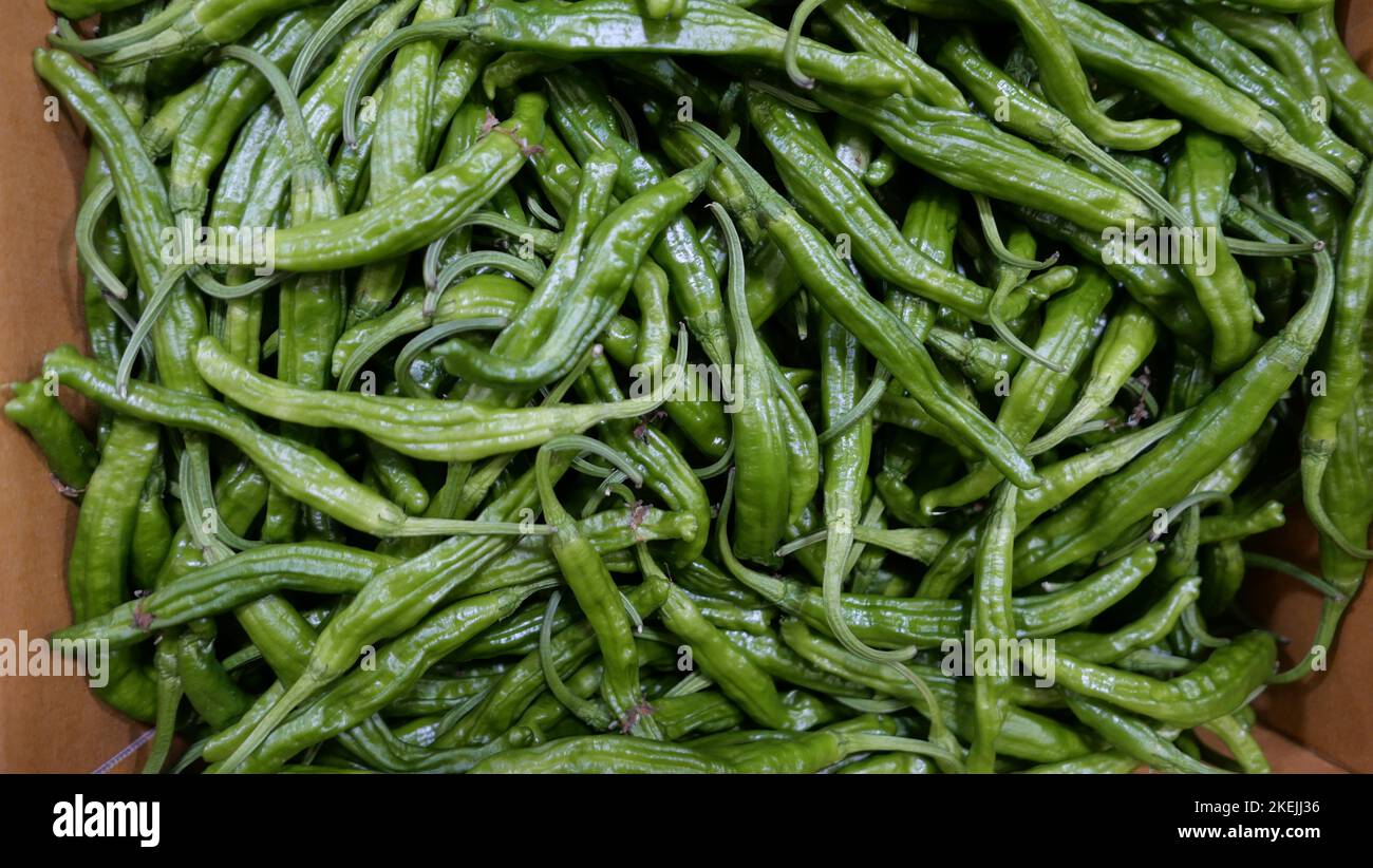 Full frame image of fresh green raw chilis in cardboard box Stock Photo ...