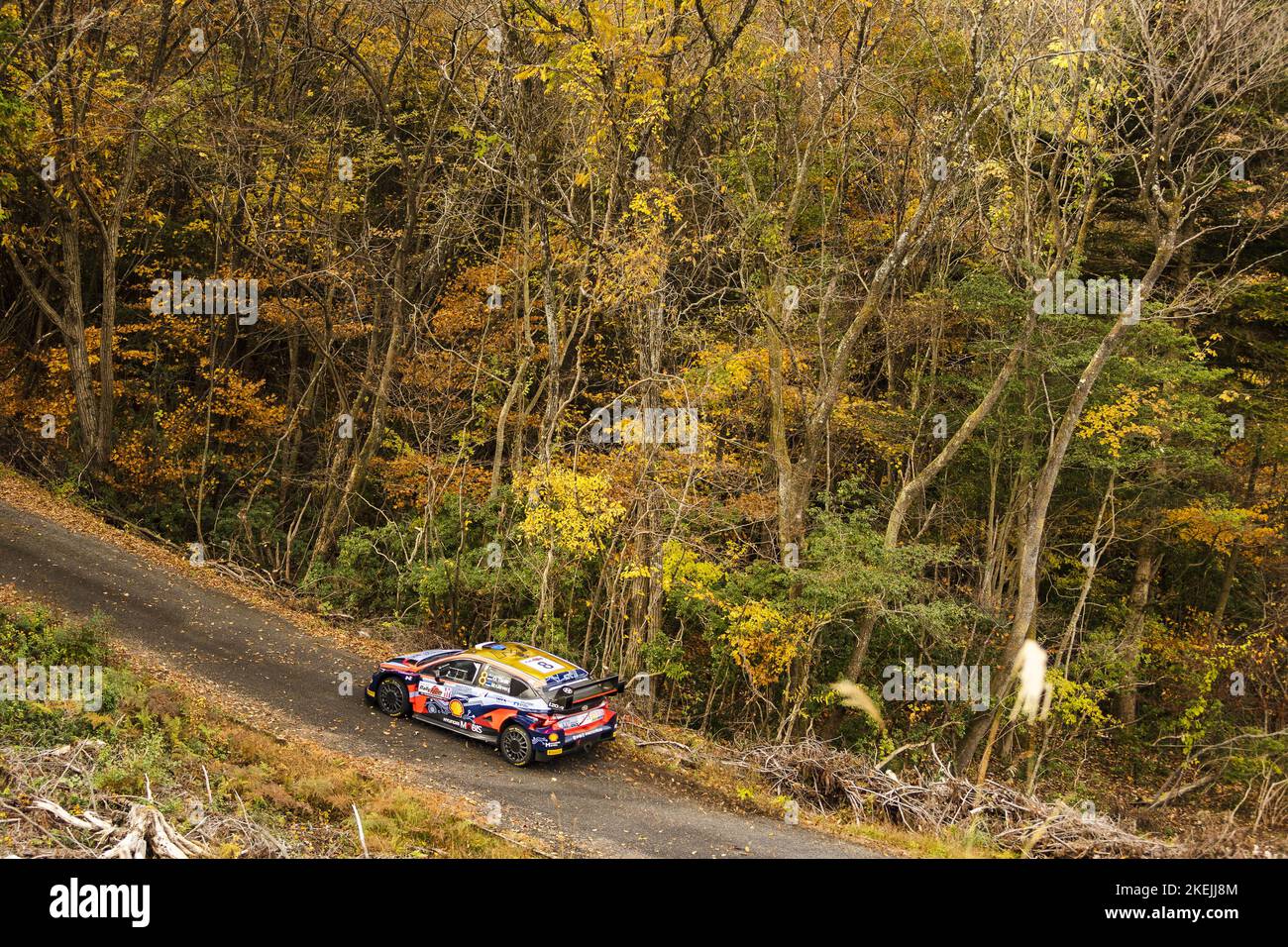 08 TANAK Ott (est), JARVEOJA Martin (est), Hyundai Shell Mobis World ...