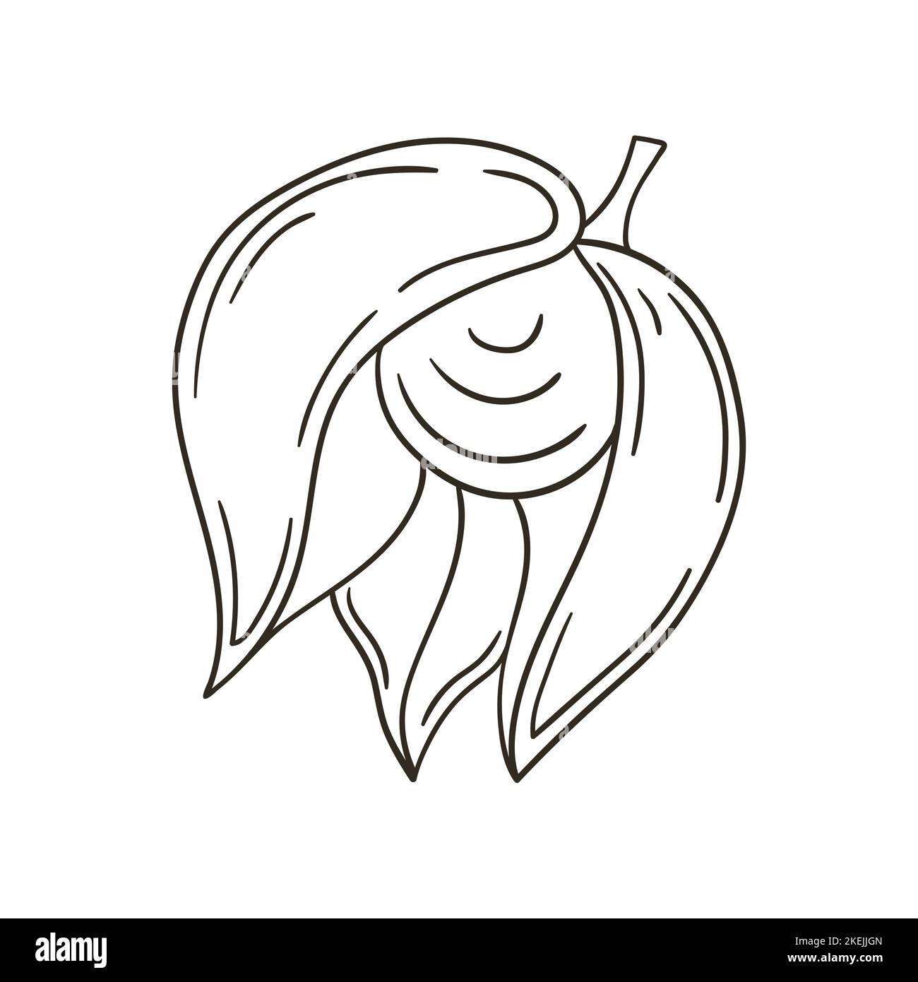 Physalis. Coloring in hand drawn style. Children's drawings, exotic ...