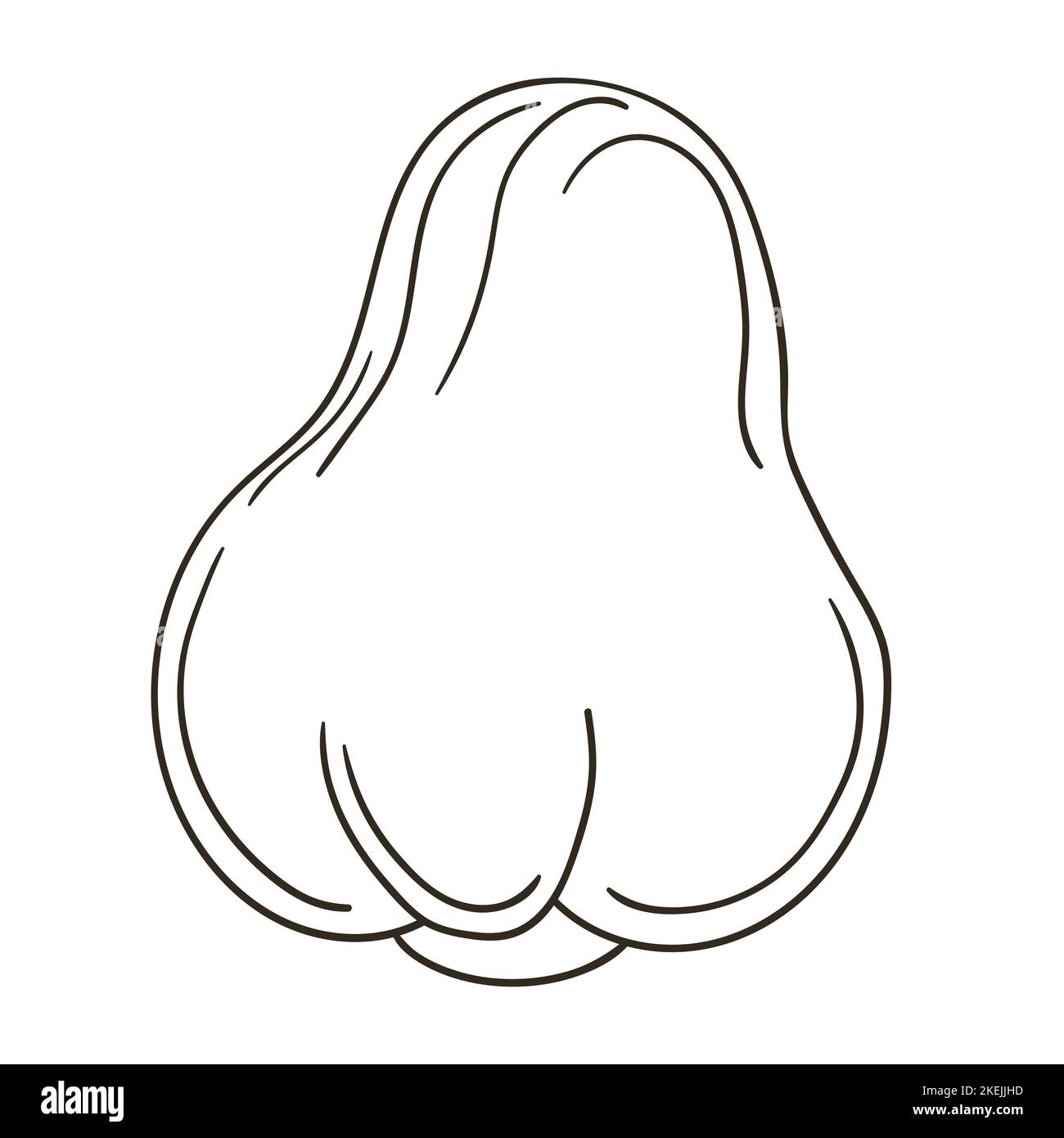 Rose apple, Chom-poo. Coloring in hand drawn style. Children's drawings ...