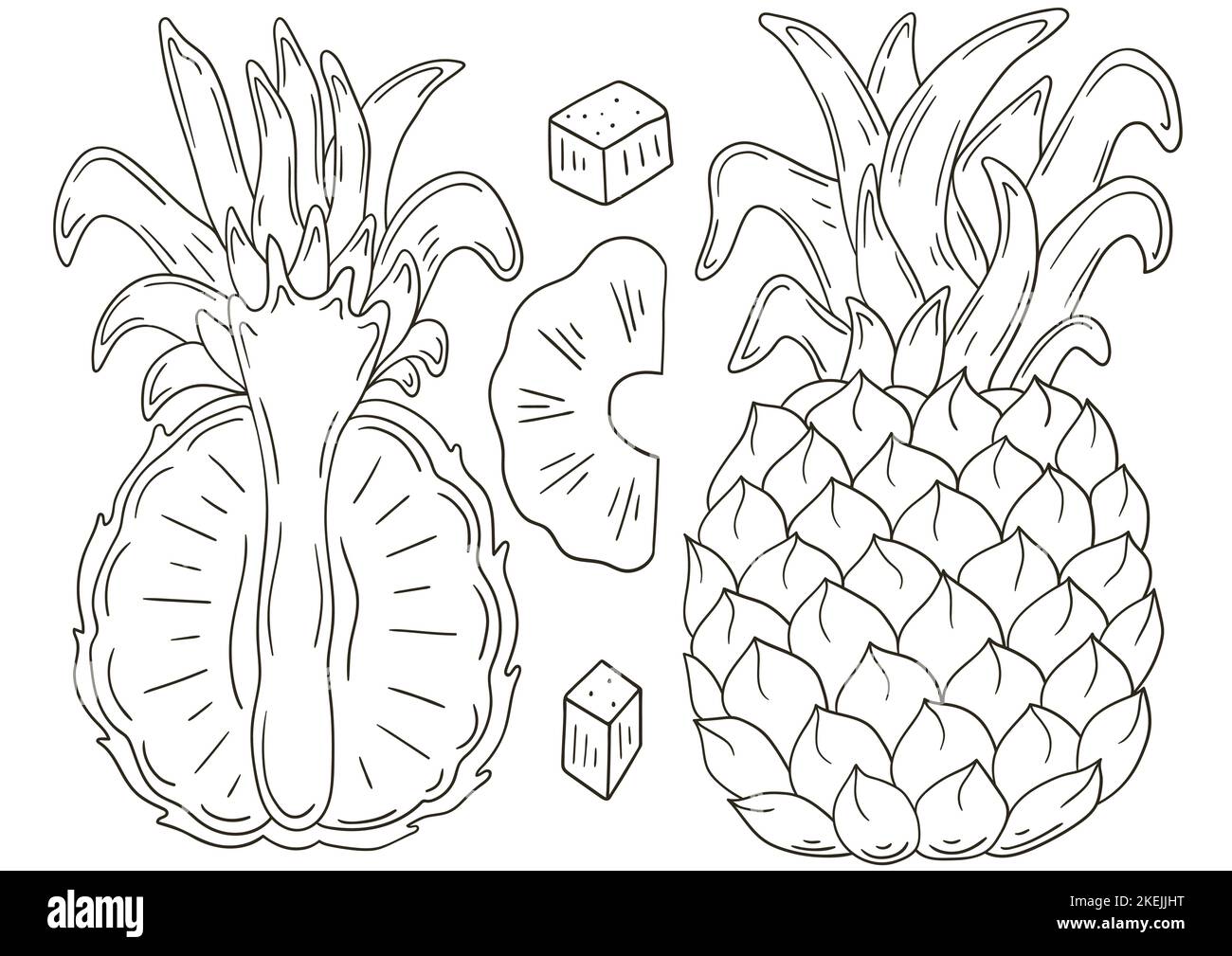 Pineapple. Set of vector illustrations in hand drawn style. Coloring ...
