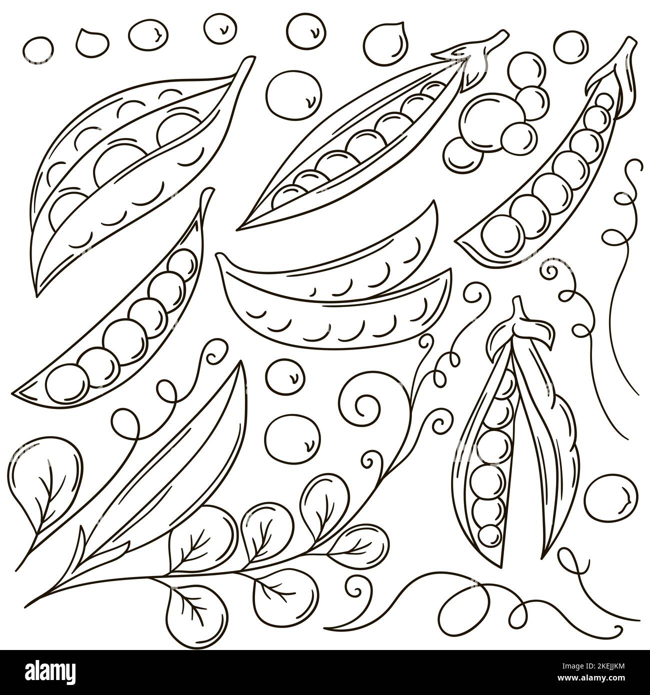 Set of vector illustrations in hand drawn style. Coloring poster with ...