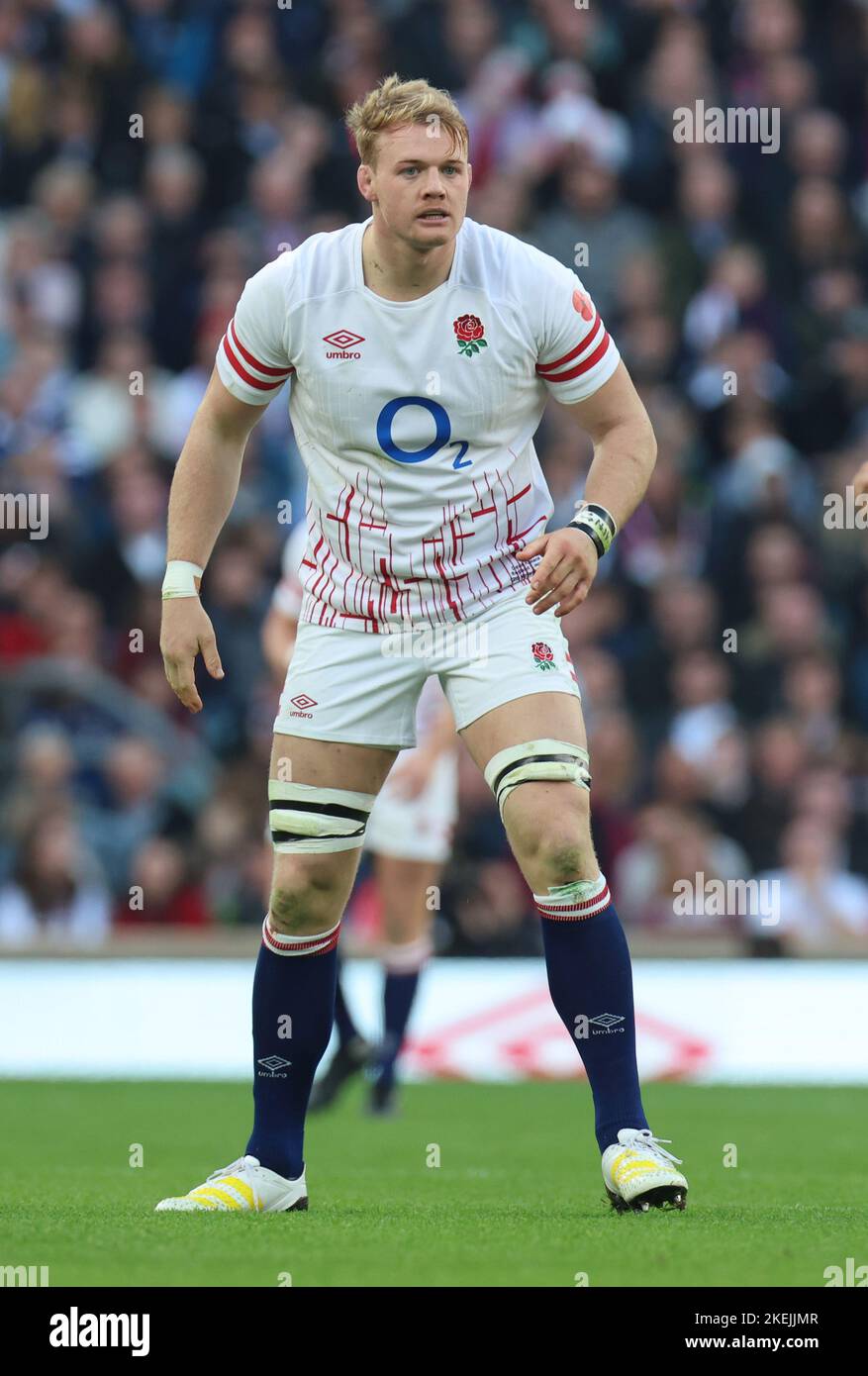 David ribbans england hi-res stock photography and images - Alamy