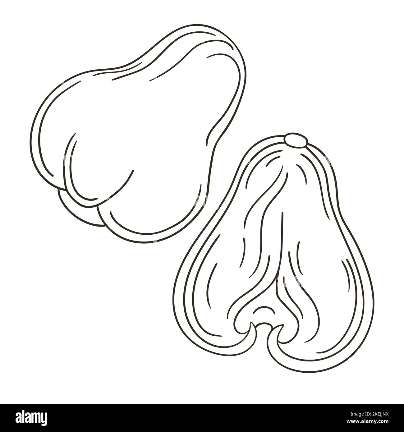Rose Apple Chom Poo Set Of Vector Illustrations In Hand Drawn Style Coloring Poster With