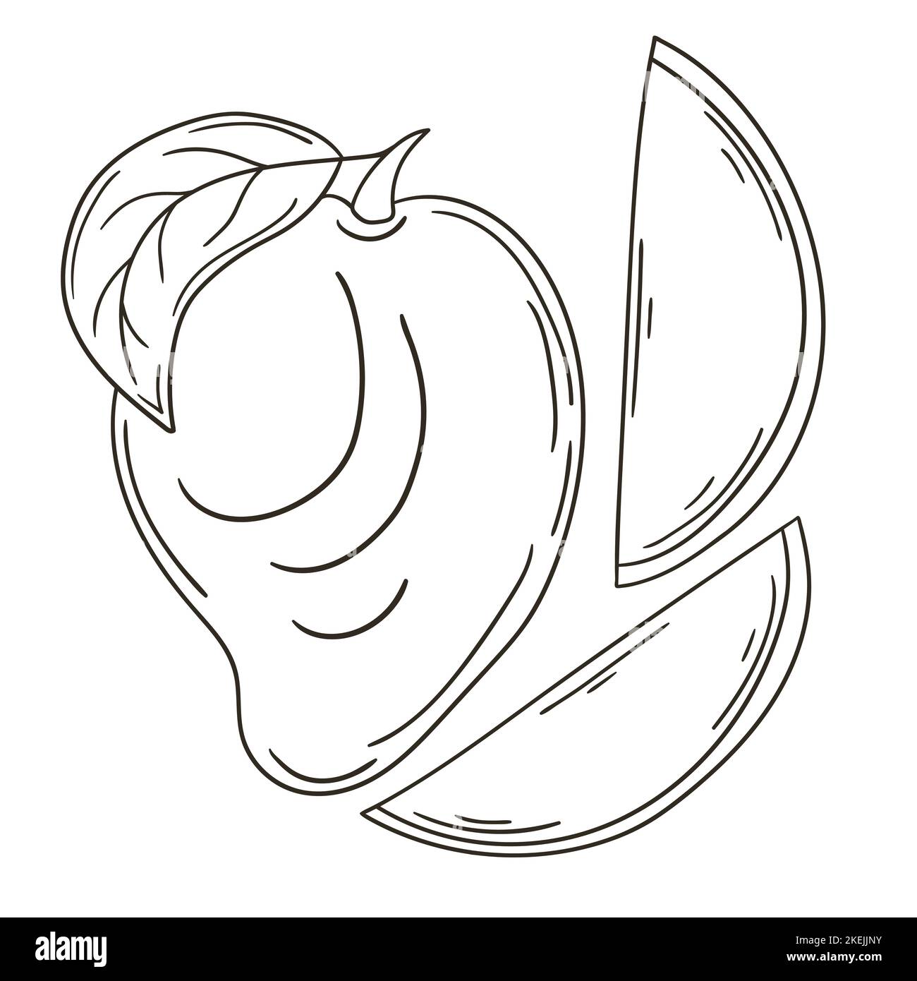 Mango. Set of vector illustrations in hand drawn style. Coloring poster ...