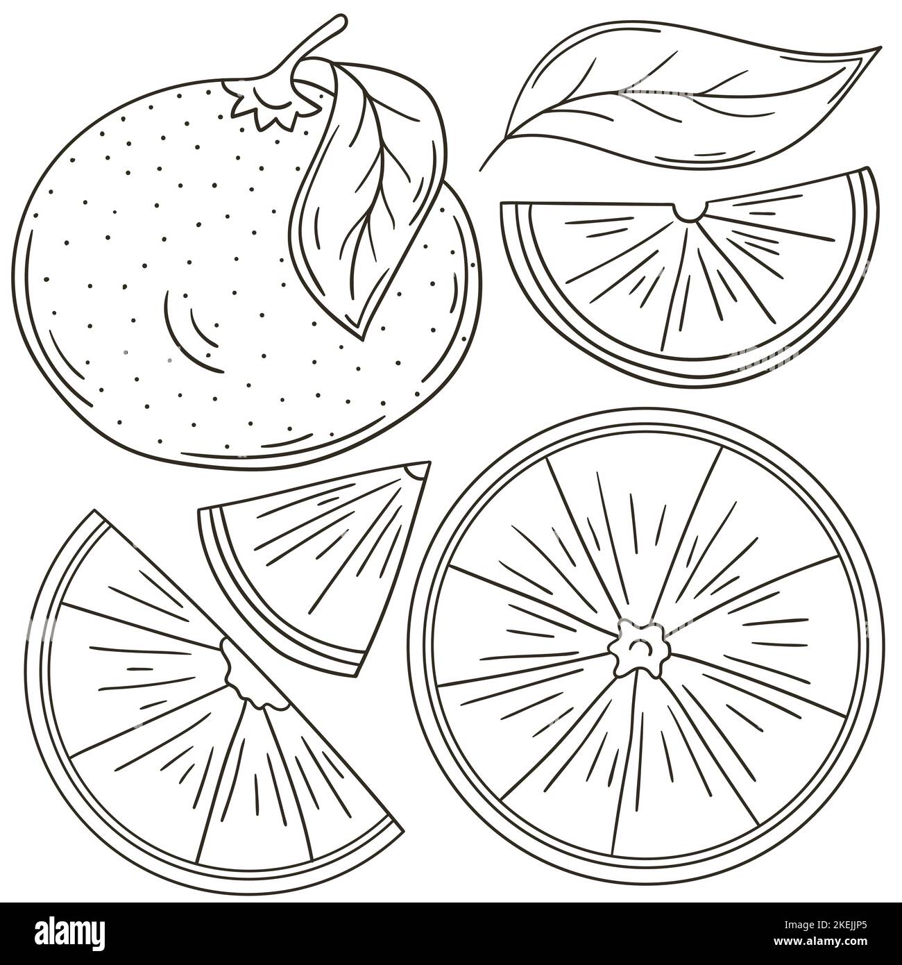 Set of vector illustrations in hand drawn style. Coloring poster with ...