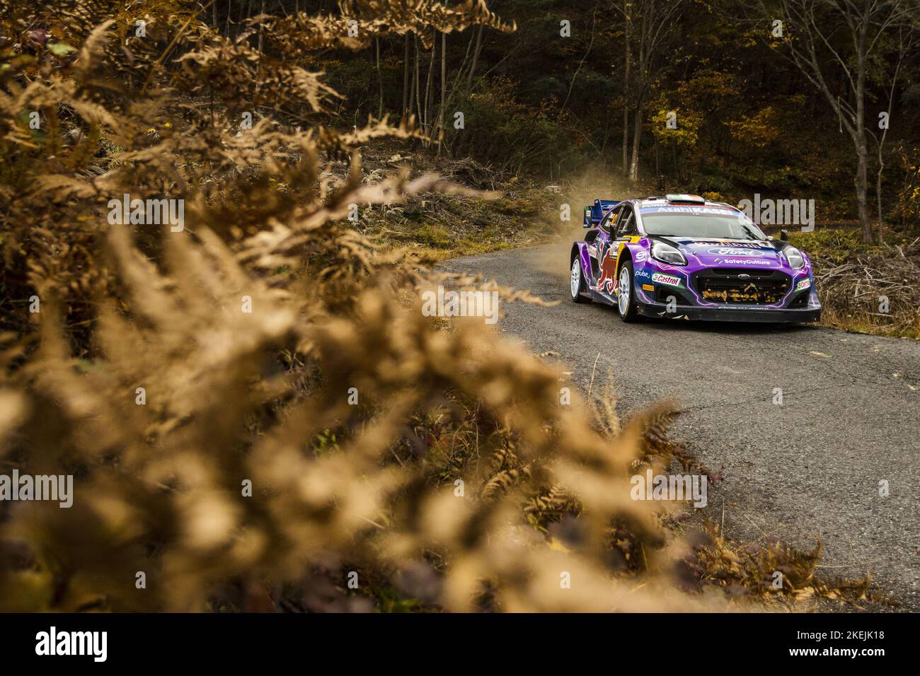 42 BREEN Craig (irl), NAGLE Paul (irl), M-Sport Ford World Rally Team ...