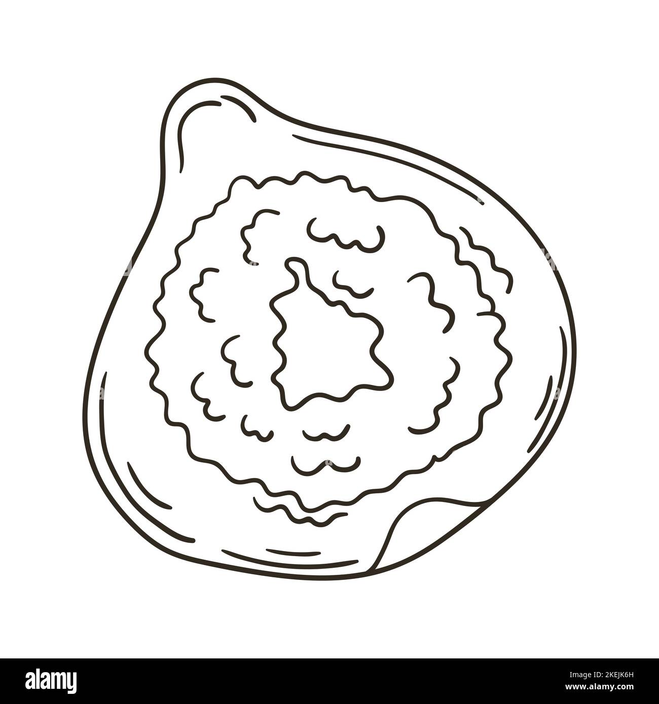 Figs. Coloring in hand drawn style. Children's drawings, exotic fruit ...