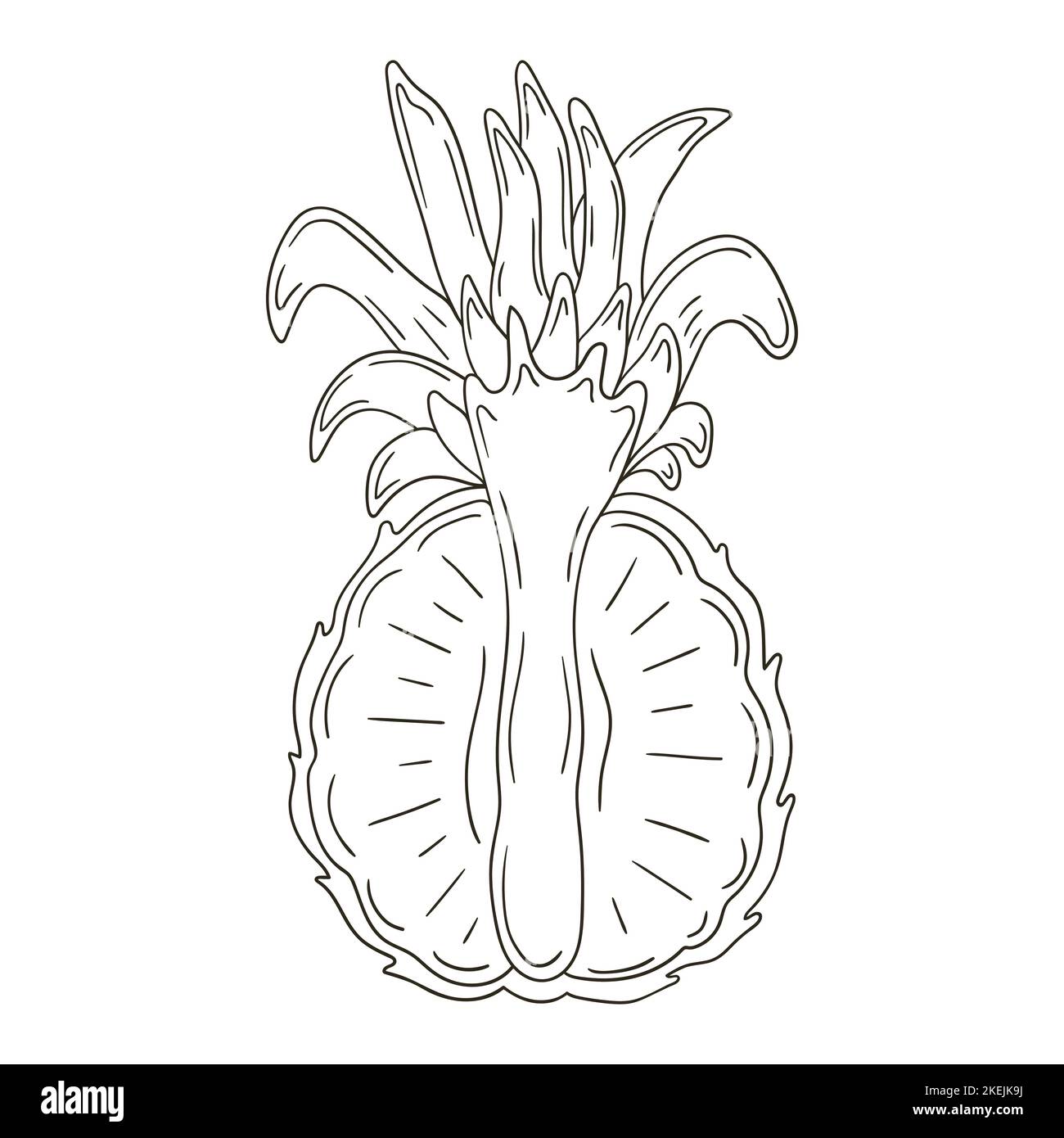 Pineapple. Coloring in hand drawn style. Children's drawings, exotic ...