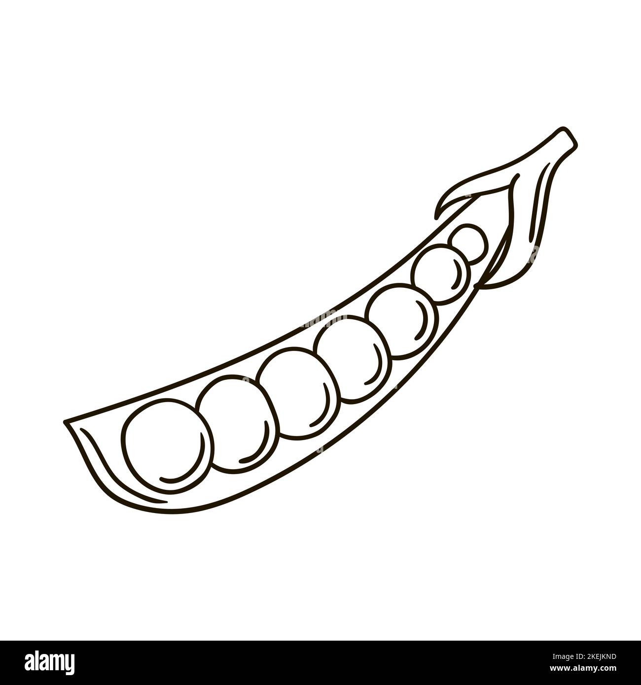 Coloring in hand drawn style. Children's drawings. Peas. Icon, sign ...