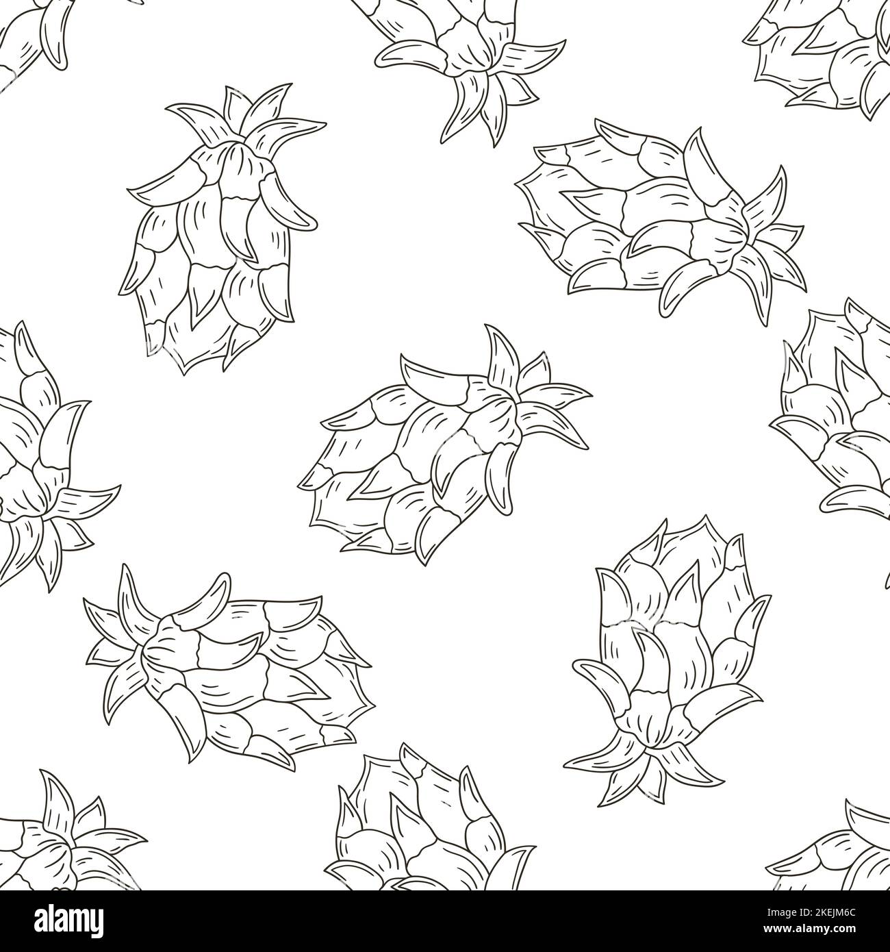 Monochrome pattern with tropical fruits. Illustration in hand draw ...