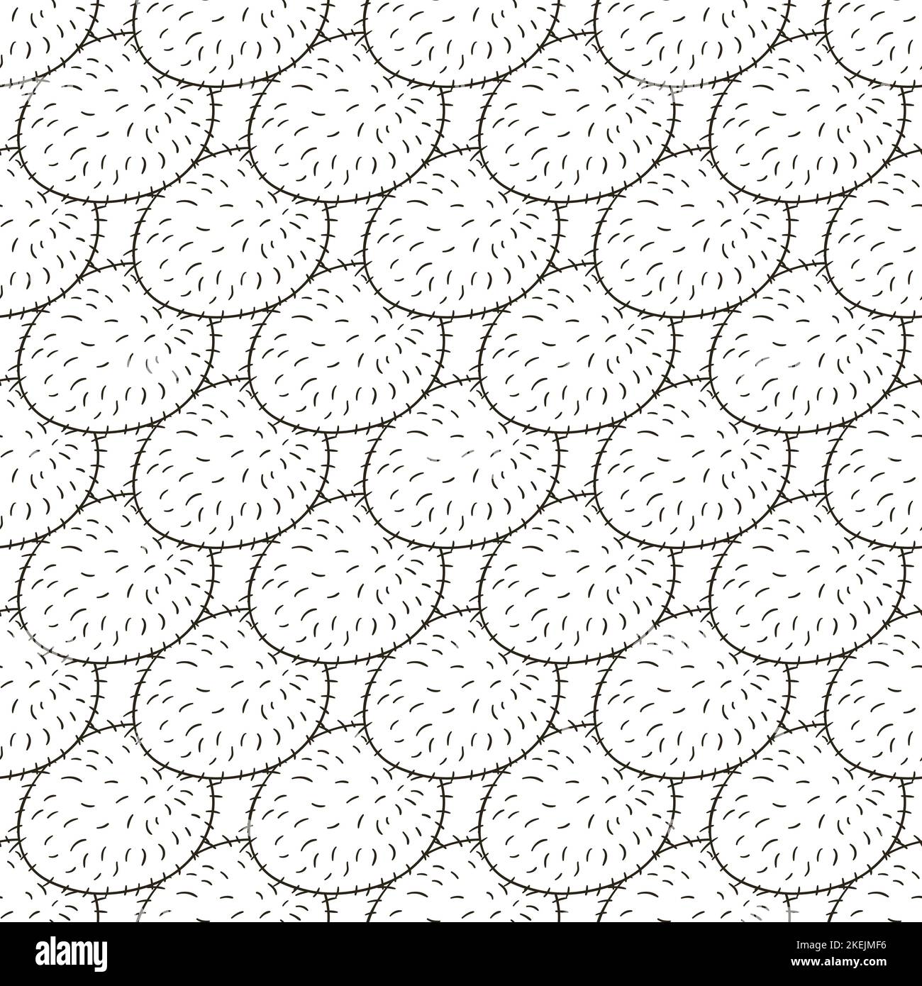 Rambutan. Monochrome pattern with tropical fruits. Illustration in hand ...