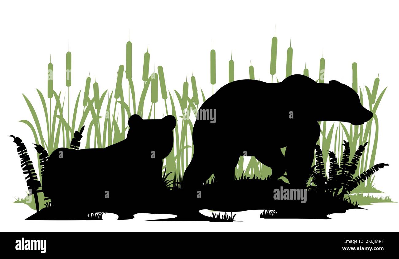 Bear male and female. Wild animals. Silhouette figures. Glade in swamp ...