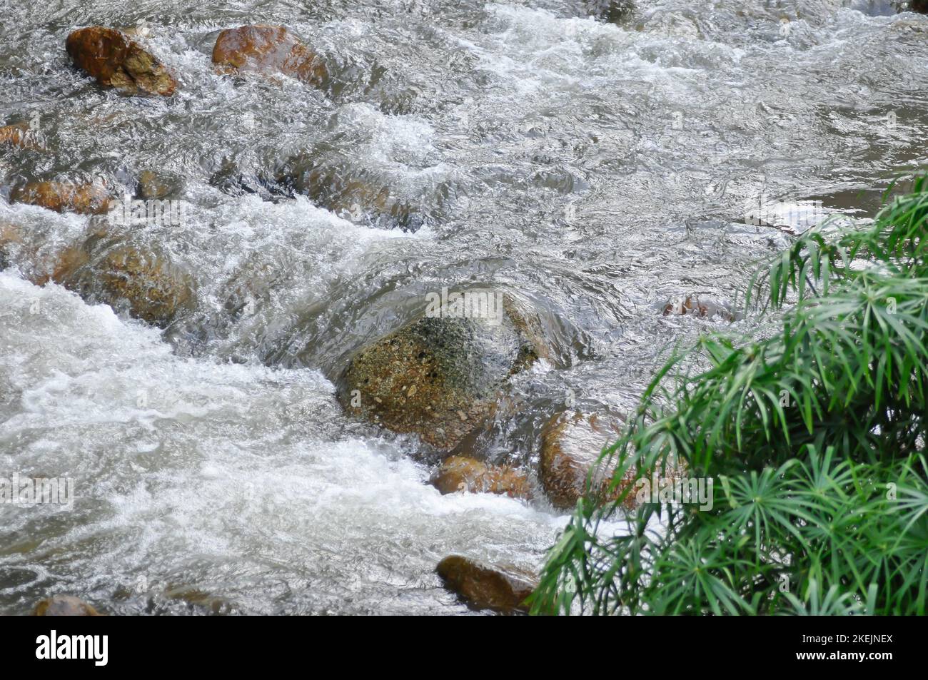 waterfall ,rock and tree or waterfall background or river background ...