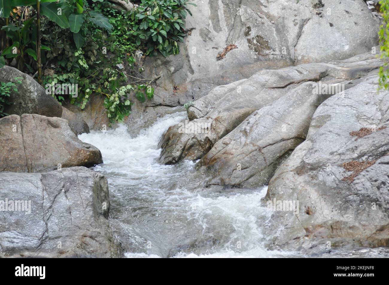 waterfall ,rock and tree or waterfall background or river background ...