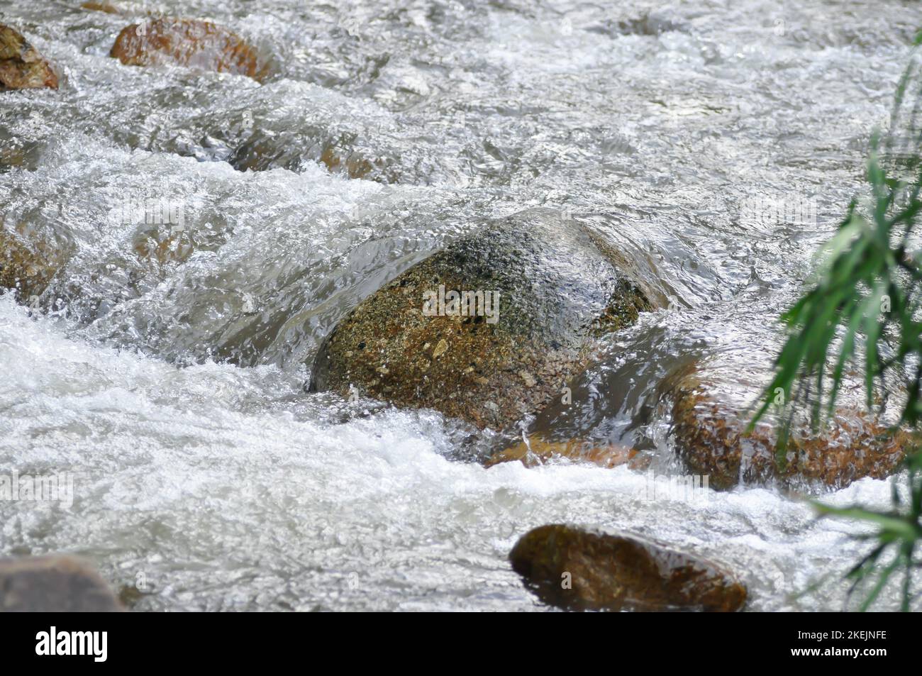 waterfall ,rock and tree or waterfall background or river background ...