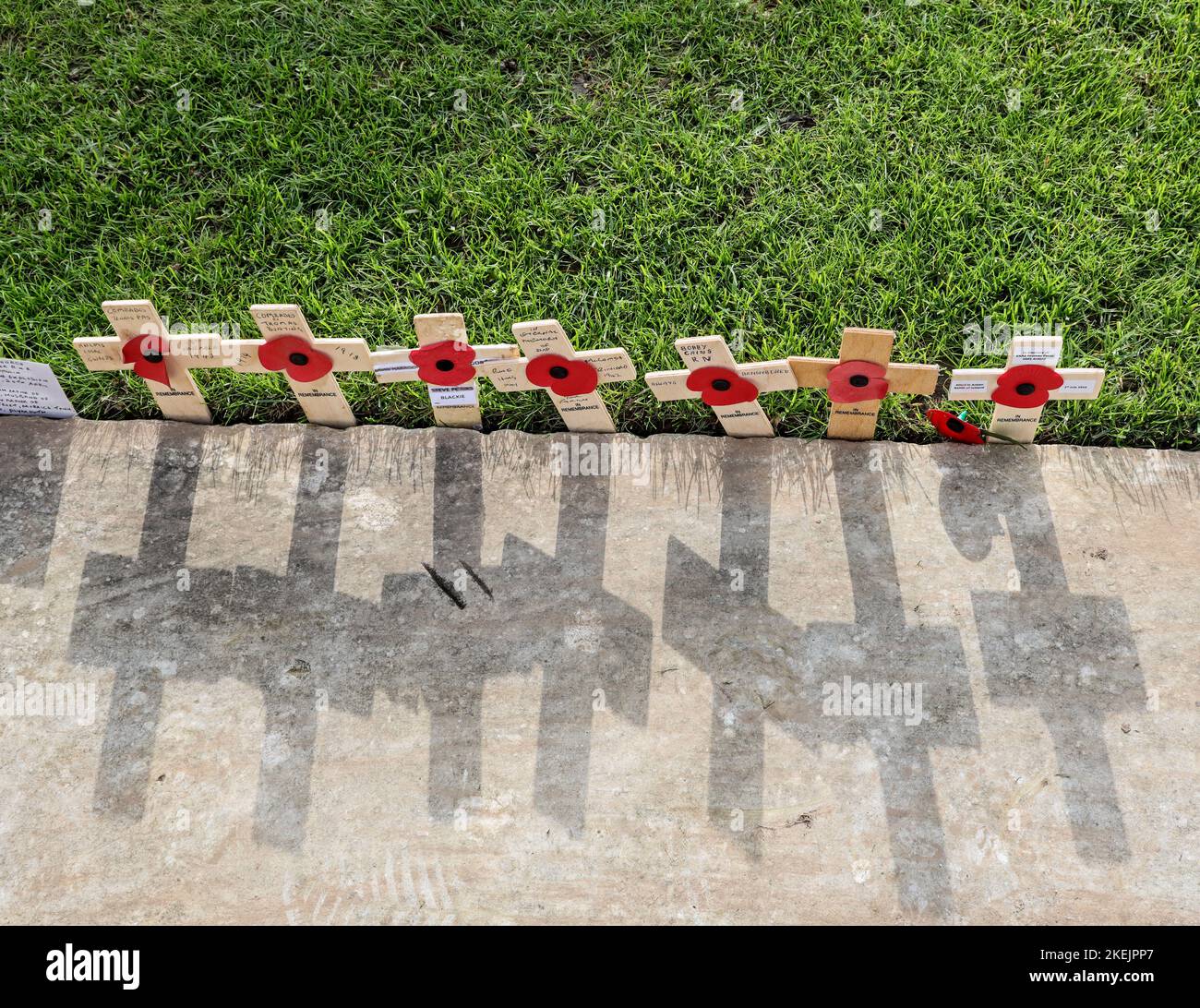 Individual wooden Remembrance crosses on a grass verge at the Plymouth ...