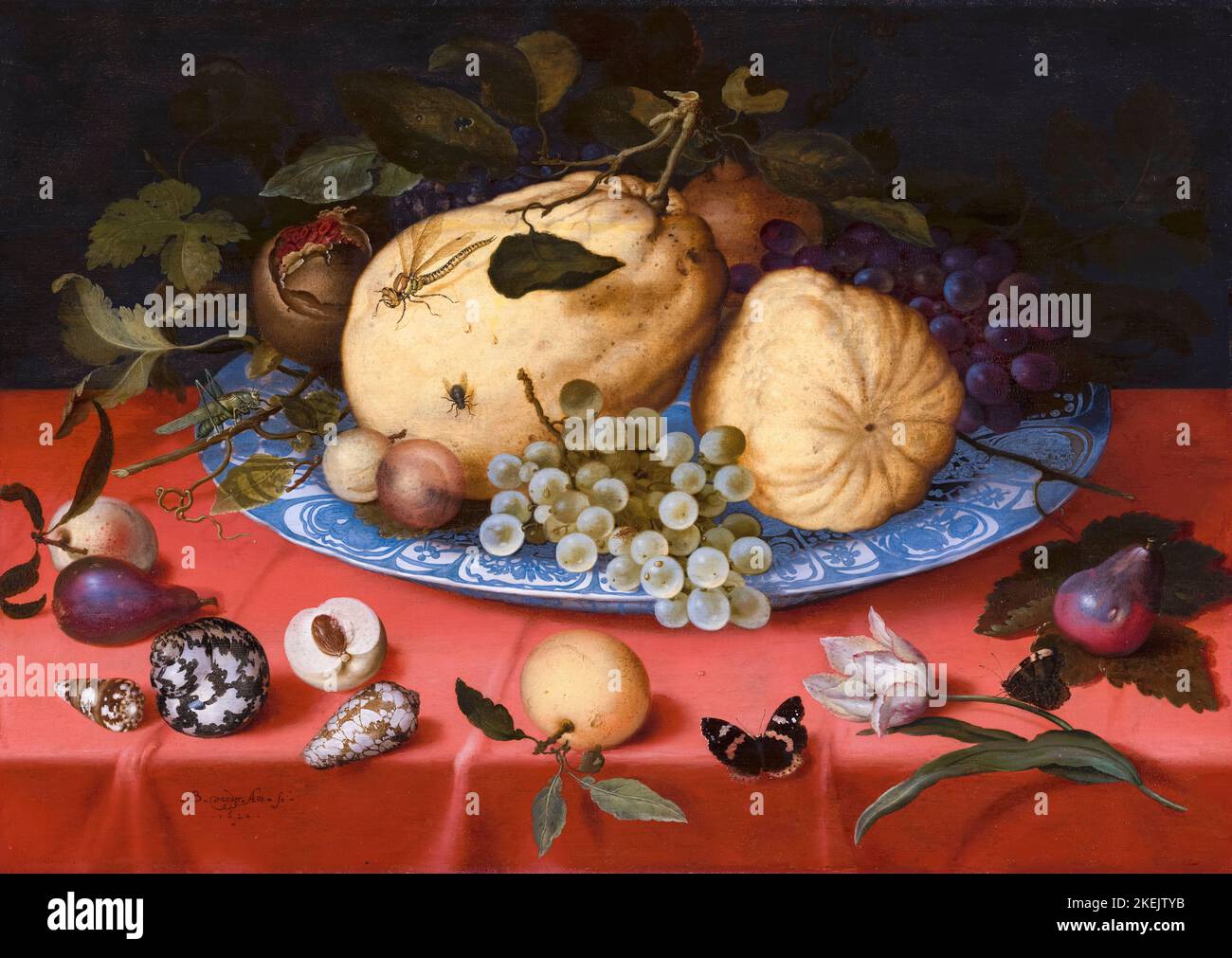 Ast fruit shells hi-res stock photography and images - Alamy