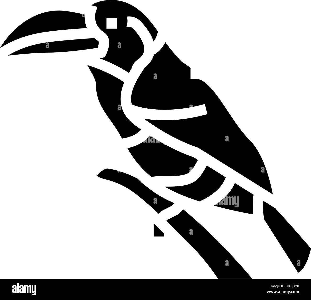 curl crested aracari bird exotic glyph icon vector illustration Stock ...
