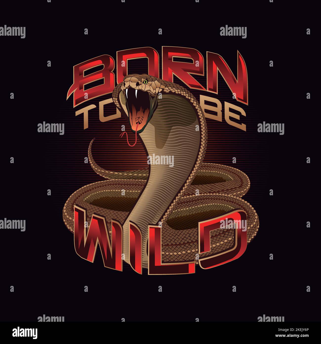 Snake. Cobra. Vector hand drawn illustration of snake in engraving ...