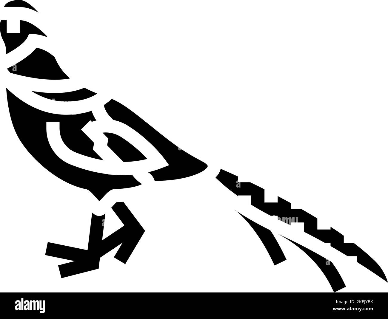 golden pheasant bird exotic glyph icon vector illustration Stock Vector ...