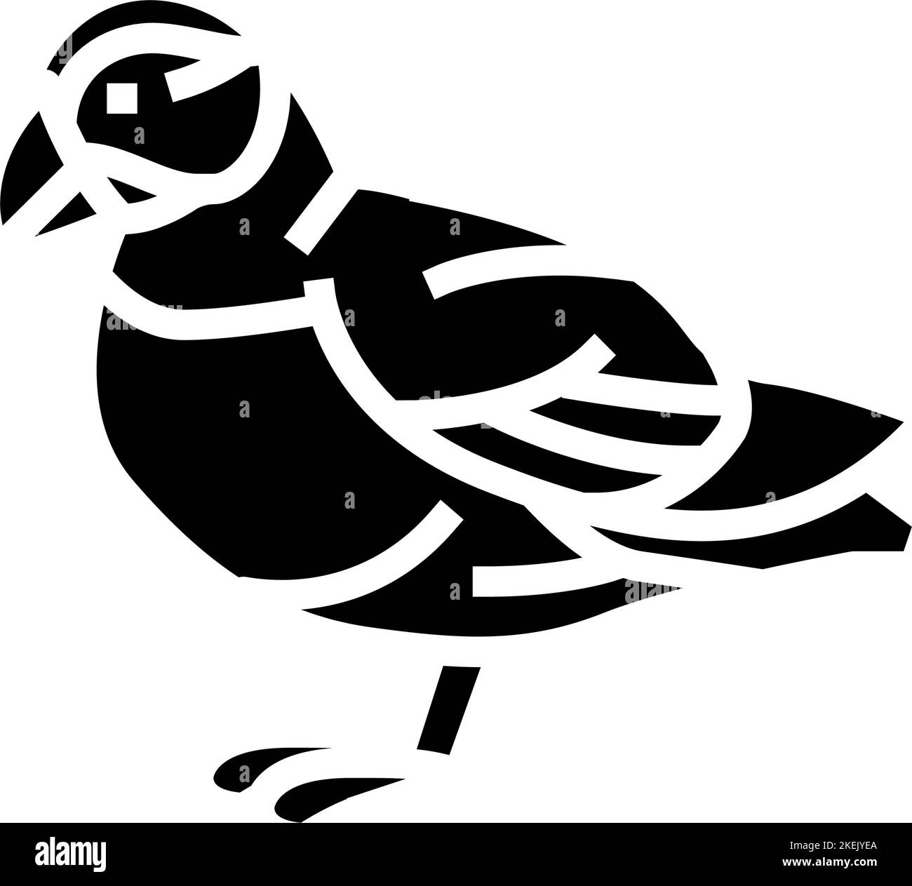 atlantic puffin bird exotic glyph icon vector illustration Stock Vector ...