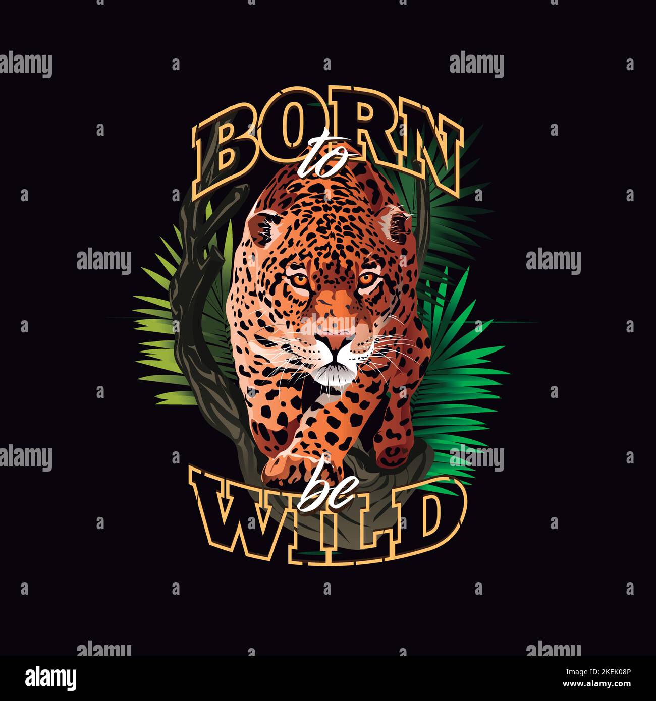 Portrait leopard in wild Stock Vector Images - Alamy