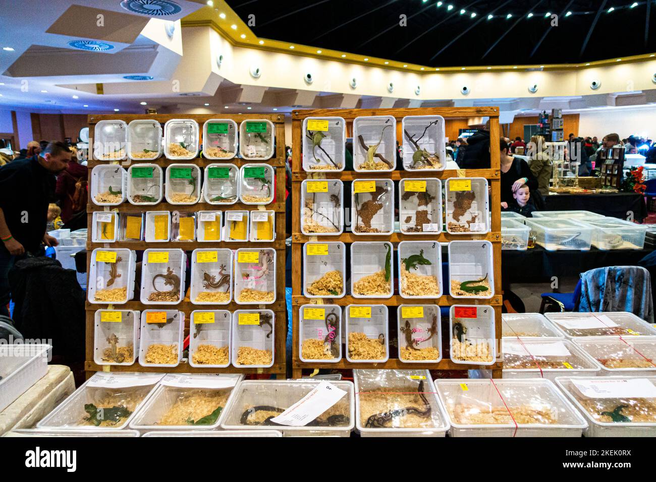 Exhibition of exotic plants, insects, terrarium animals and accessories ...