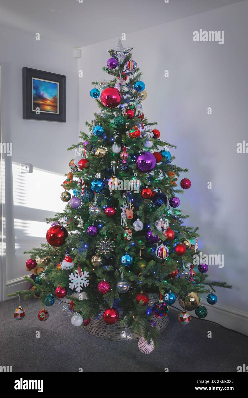 Colourful multicoloured tree hi-res stock photography and images - Alamy
