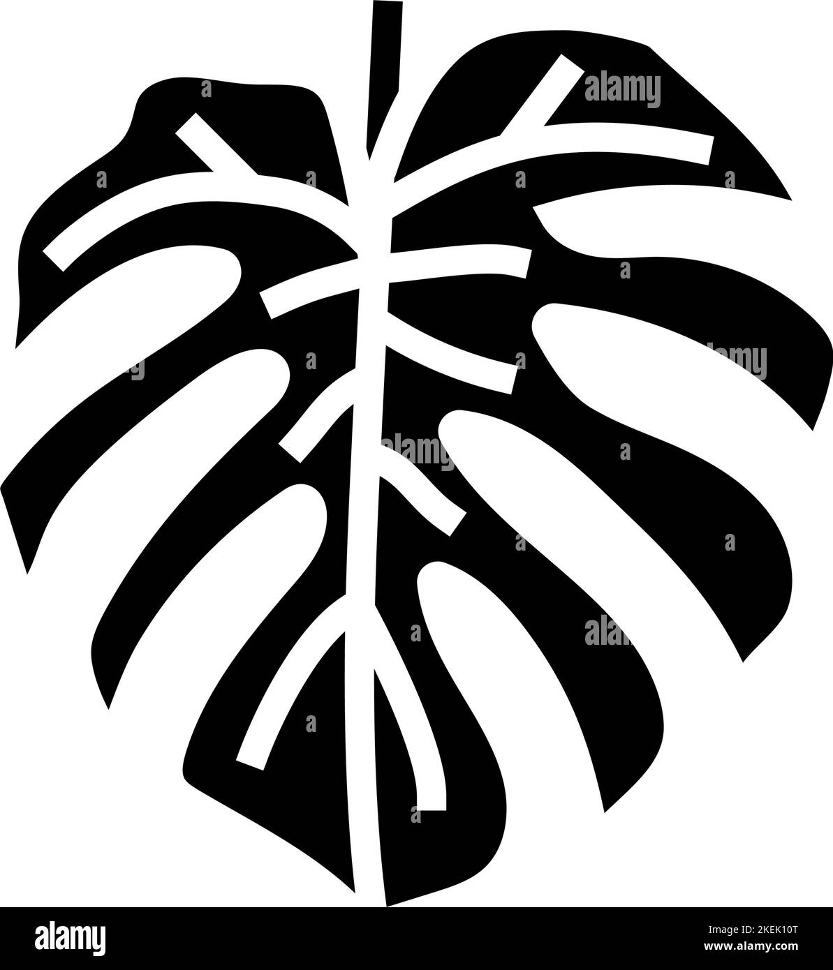 monstera plant leaf glyph icon vector illustration Stock Vector Image ...