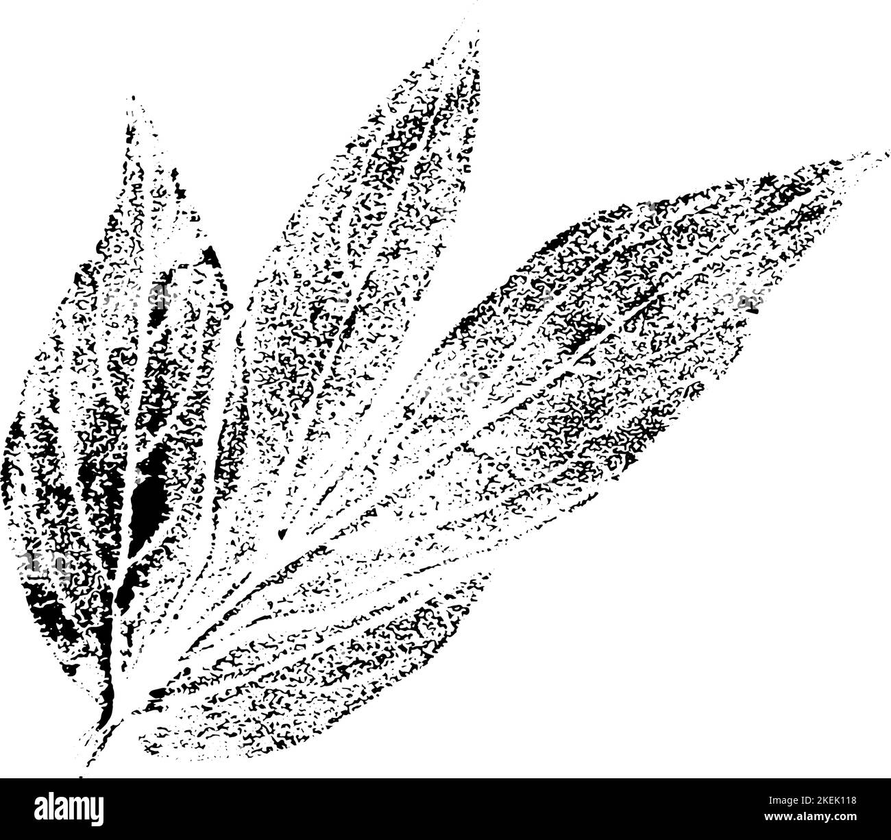 Leaf ink prints. Autumn herbarium, stamps leaves of trees. Grunge ...